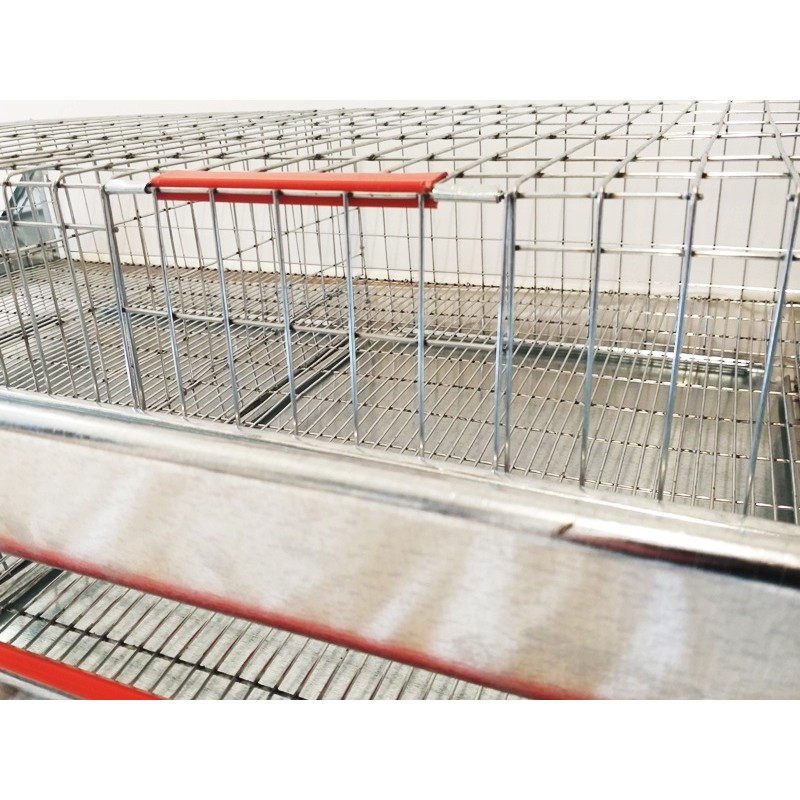 Cusca de prepelite/ 130 cm