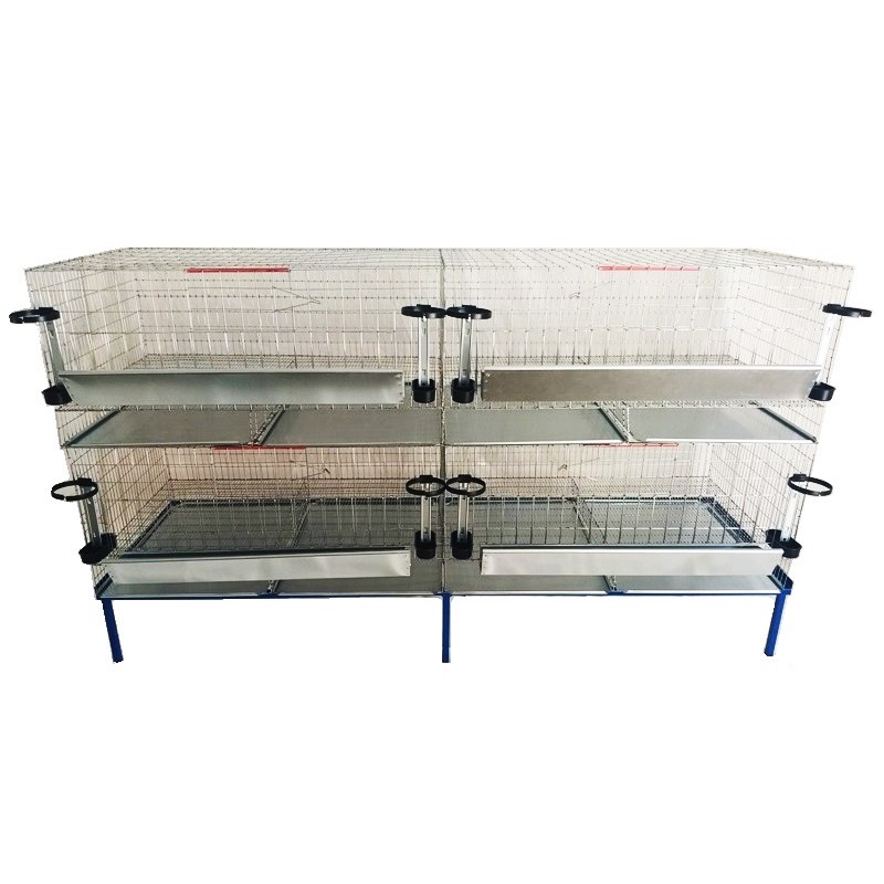 Cusca crestere pui de o zi gaini cu doua nivele 200 cm - Custi Animale