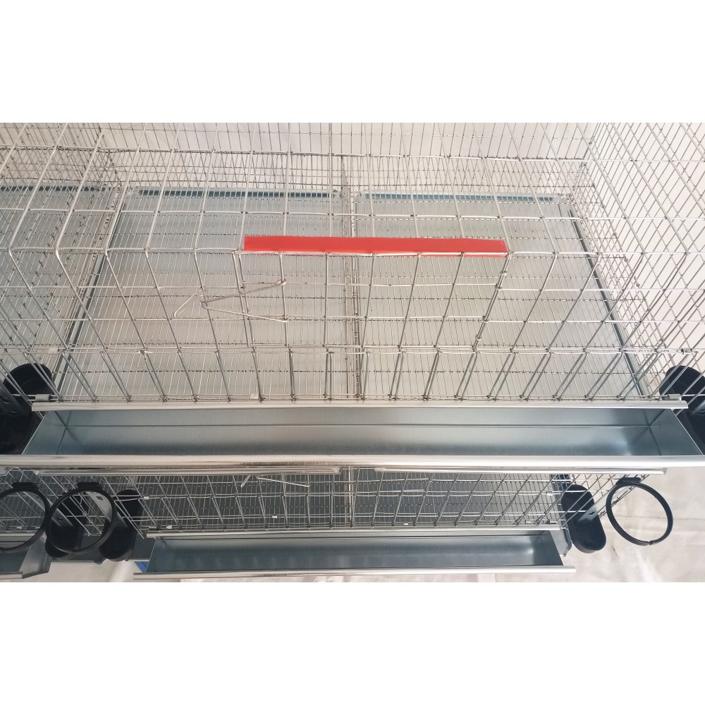 Cusca crestere pui de o zi gaini cu doua nivele 200 cm