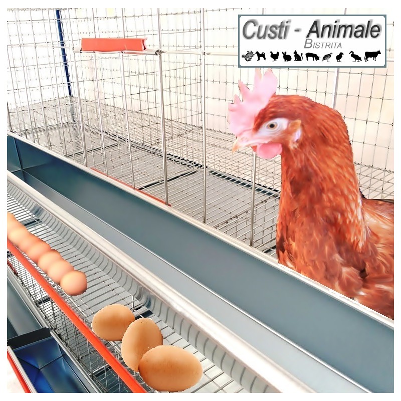 Cusca gaini outaore 1n/200