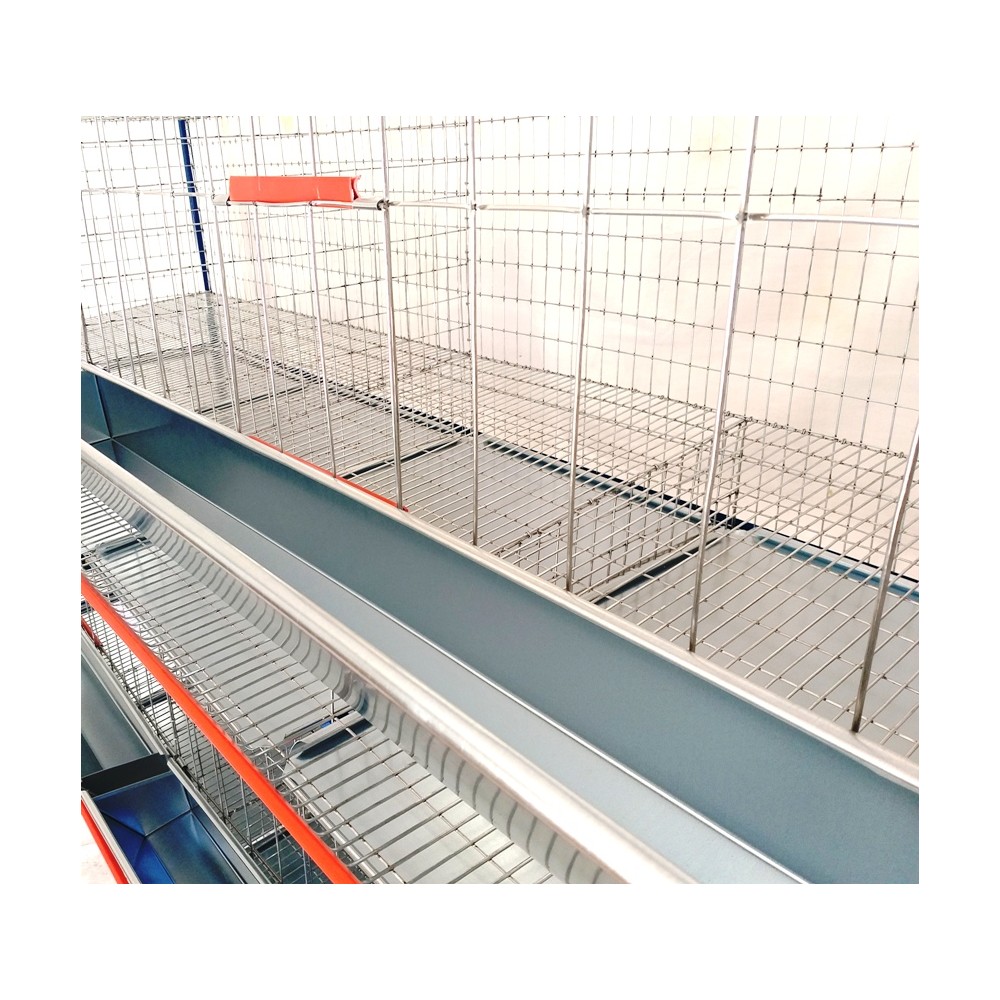 Modul gaini ouatoare 3N/200