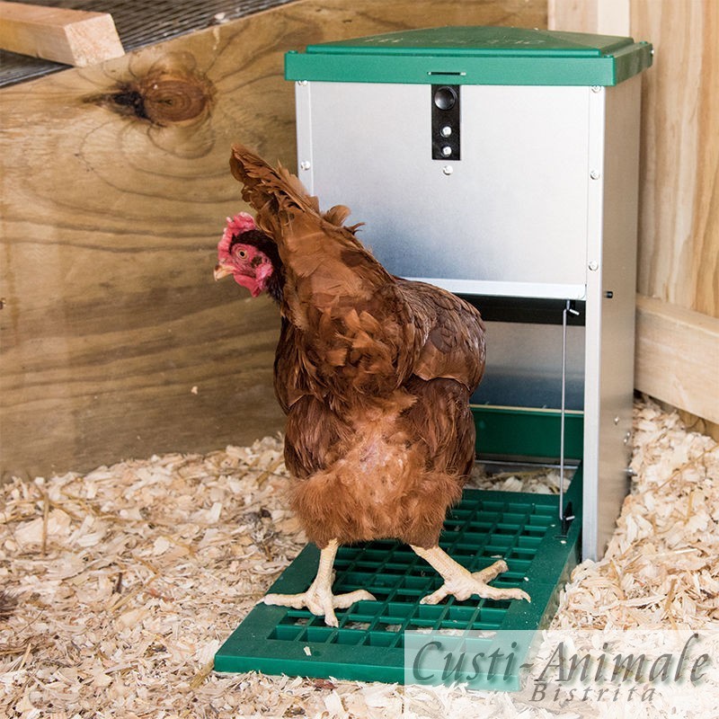 Hranitor automat furajare gaini 12 Kg